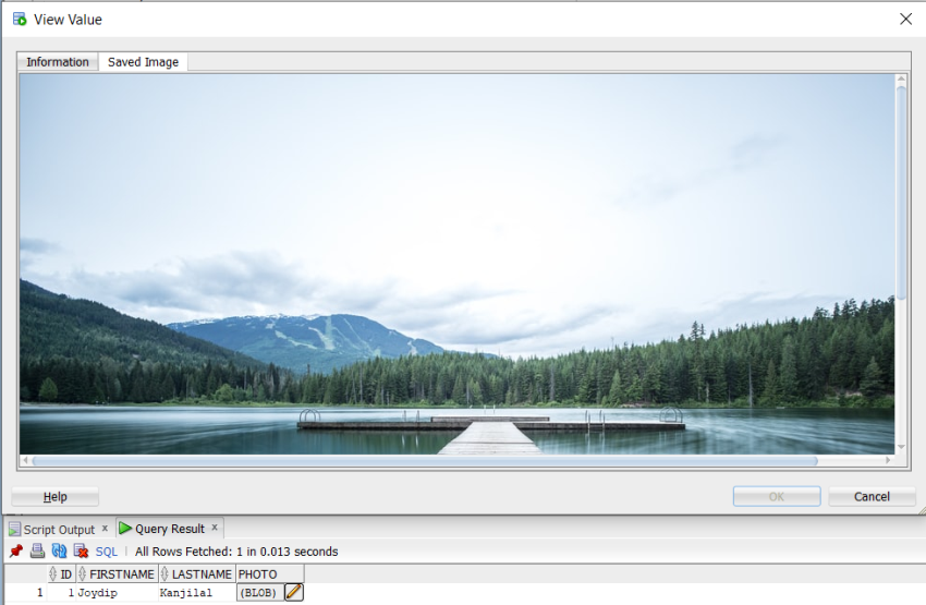 Working With Lob Data In Oracle And Aspnet 5